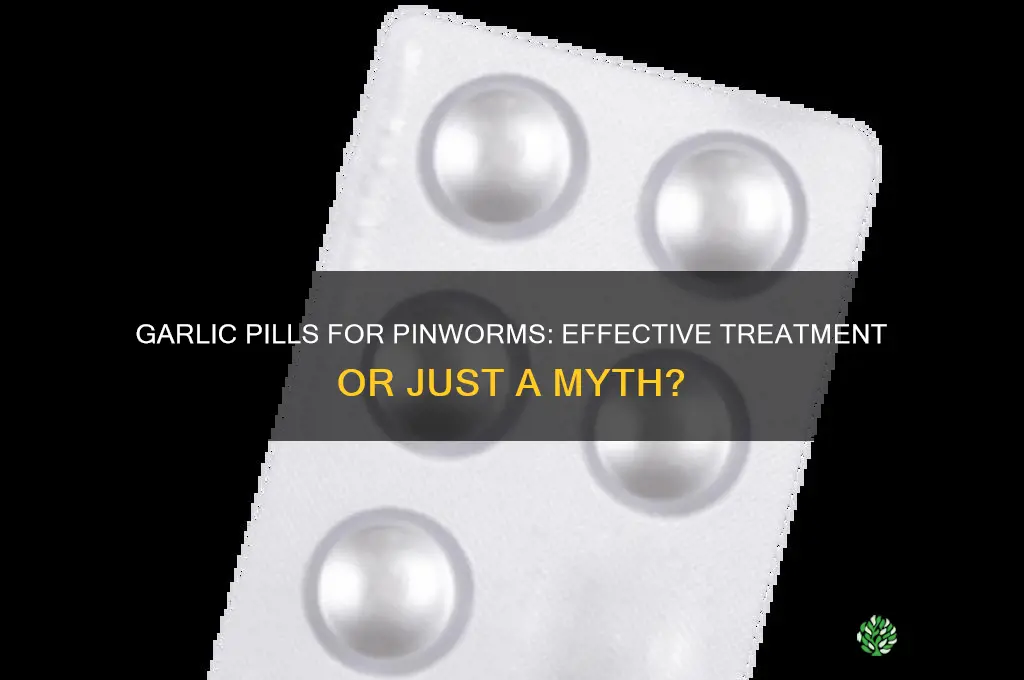 Garlic Pills For Pinworms: Effective Treatment Or Just A Myth? | ShunCy