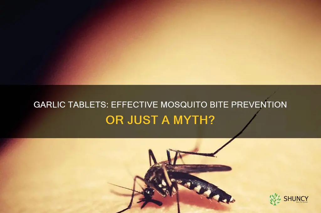 Garlic Tablets: Effective Mosquito Bite Prevention Or Just A Myth? | ShunCy