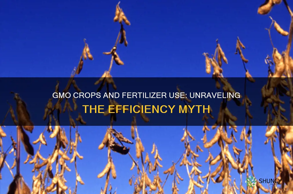 Gmo Crops And Fertilizer Use: Unraveling The Efficiency Myth | ShunCy