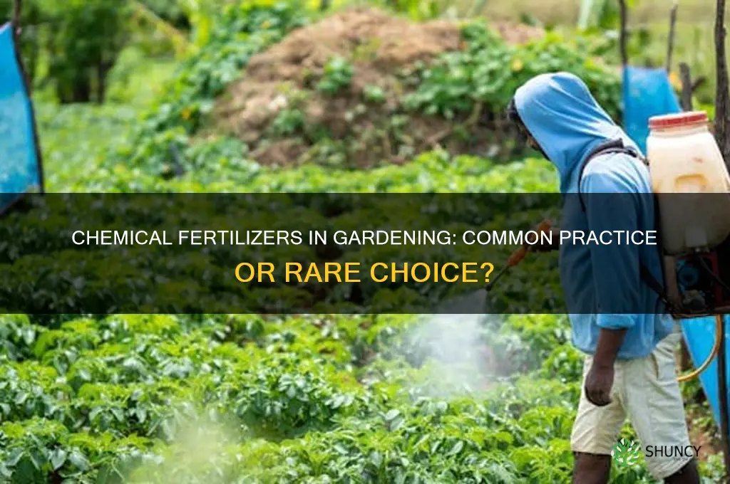 Chemical Fertilizers In Gardening: Common Practice Or Rare Choice? | ShunCy