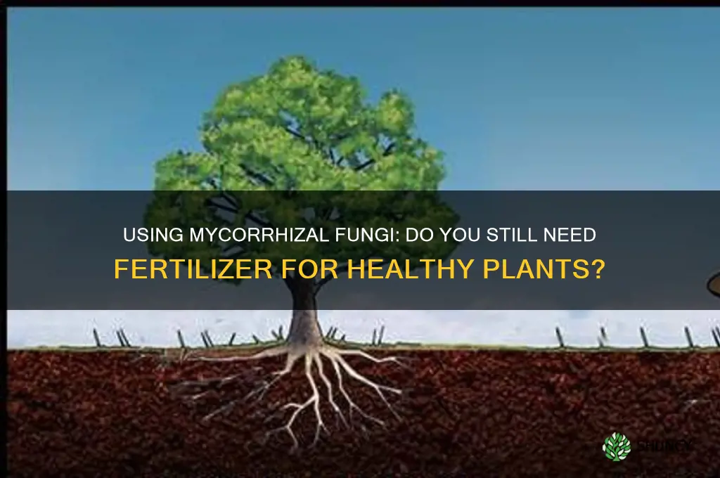 Using Mycorrhizal Fungi: Do You Still Need Fertilizer For Healthy ...