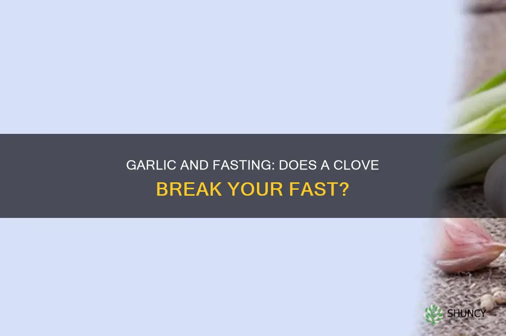 Garlic And Fasting: Does A Clove Break Your Fast? | ShunCy