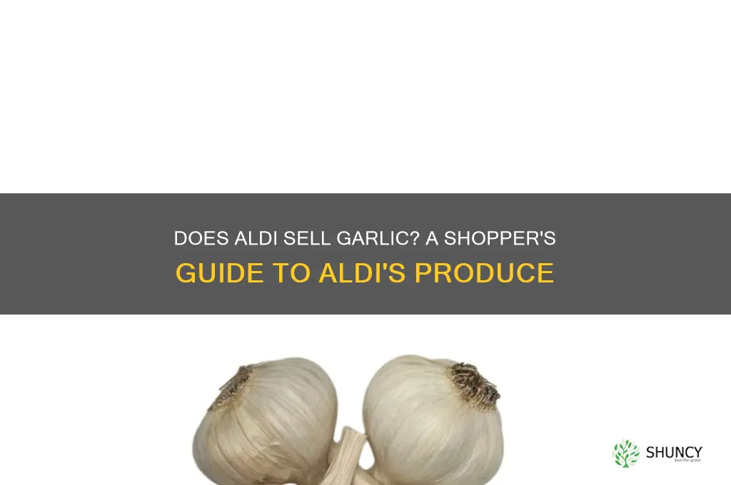 Does Aldi Sell Garlic? A Shopper's Guide To Aldi's Produce | ShunCy