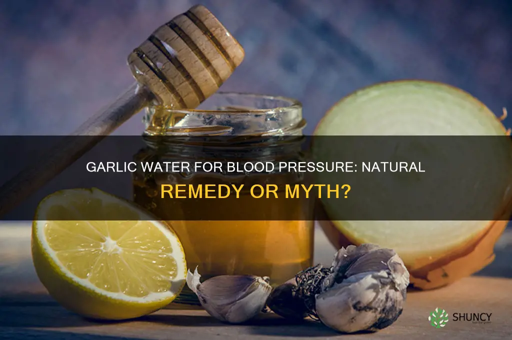 Garlic Water For Blood Pressure: Natural Remedy Or Myth? | ShunCy