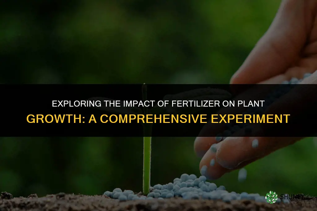 Exploring The Impact Of Fertilizer On Plant Growth: A Comprehensive ...