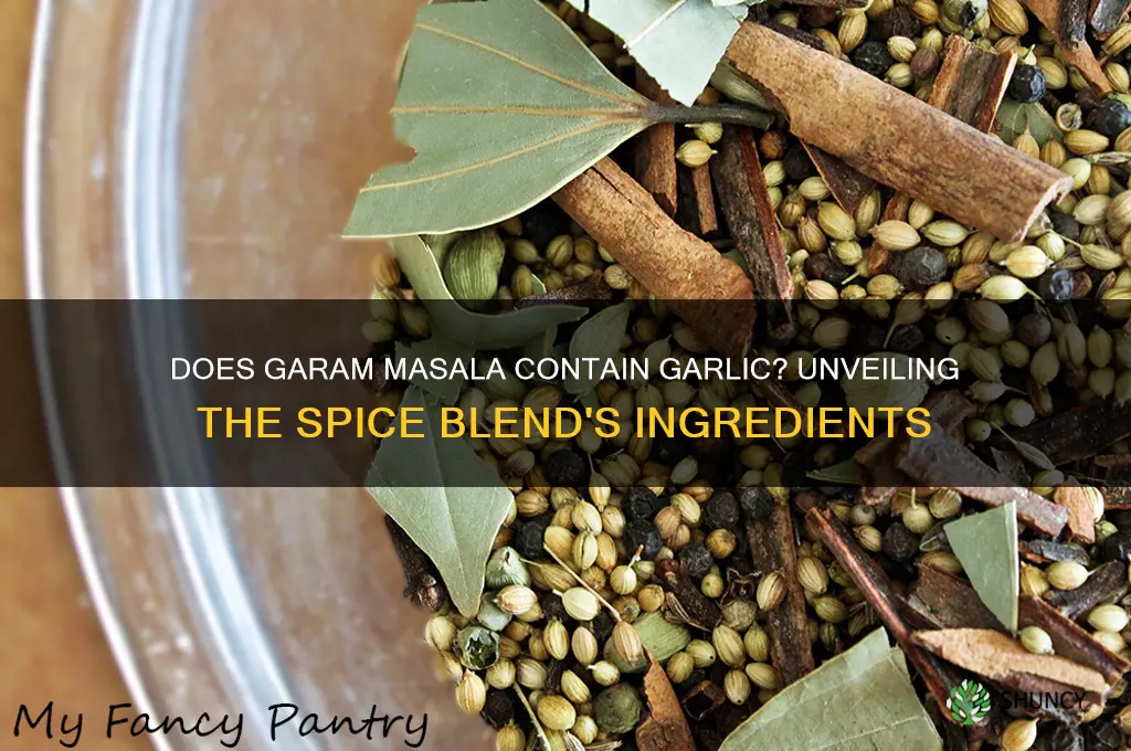 Does Garam Masala Contain Garlic? Unveiling The Spice Blend's ...