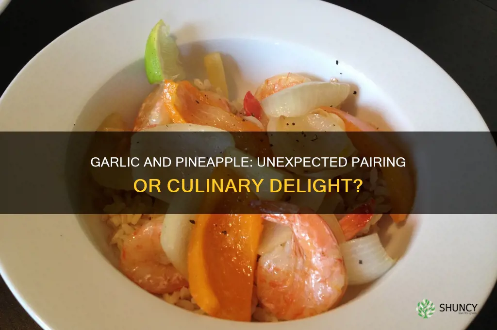 Garlic And Pineapple: Unexpected Pairing Or Culinary Delight? | ShunCy