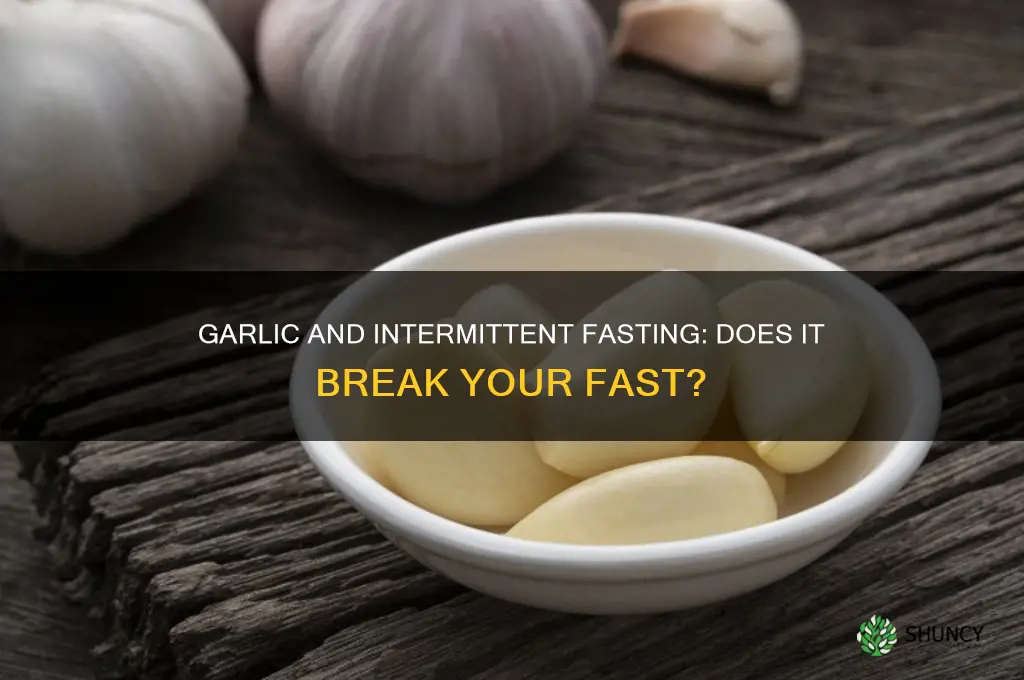 Garlic And Intermittent Fasting: Does It Break Your Fast? | ShunCy