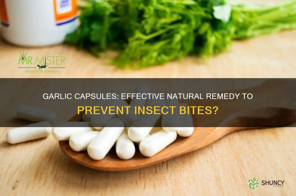 Garlic Capsules: Effective Natural Remedy To Prevent Insect Bites? | ShunCy