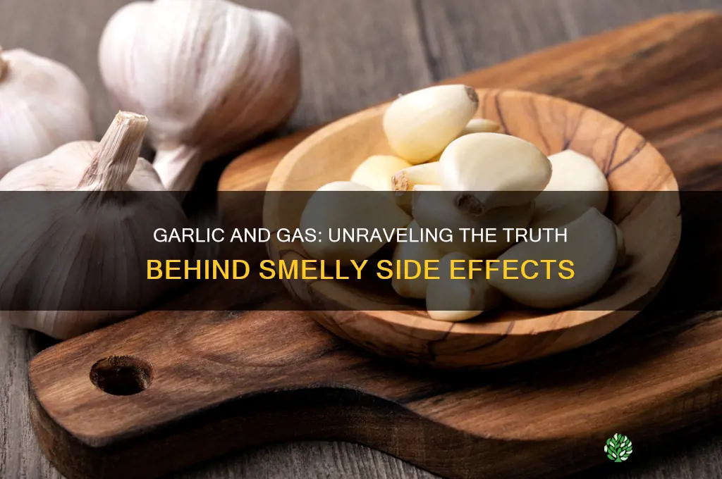 Garlic And Gas: Unraveling The Truth Behind Smelly Side Effects | ShunCy