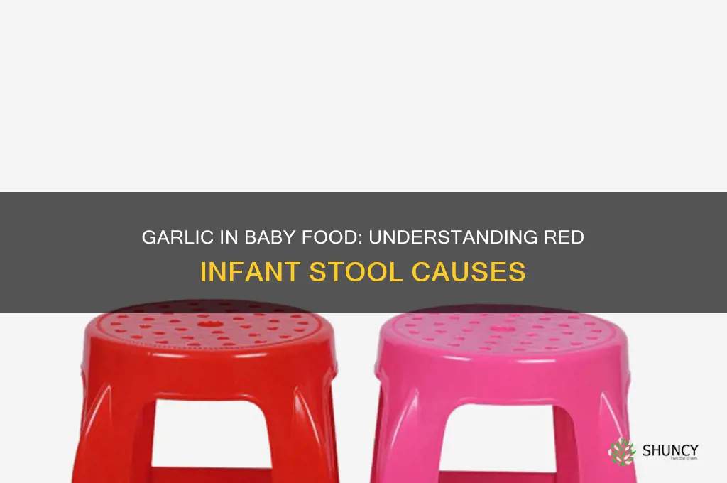 Garlic In Baby Food: Understanding Red Infant Stool Causes | ShunCy
