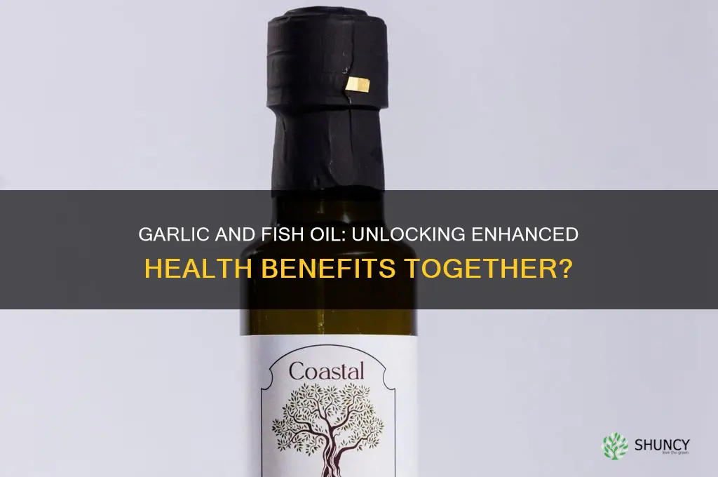 Garlic And Fish Oil: Unlocking Enhanced Health Benefits Together? | ShunCy
