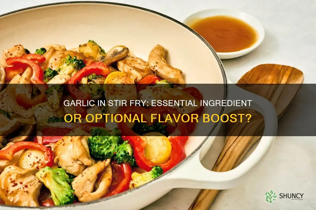 Garlic In Stir Fry: Essential Ingredient Or Optional Flavor Boost? | ShunCy
