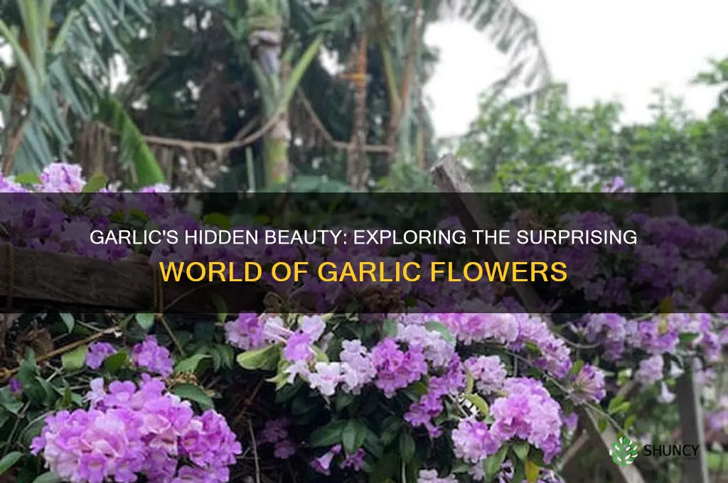 Garlic's Hidden Beauty: Exploring The Surprising World Of Garlic ...