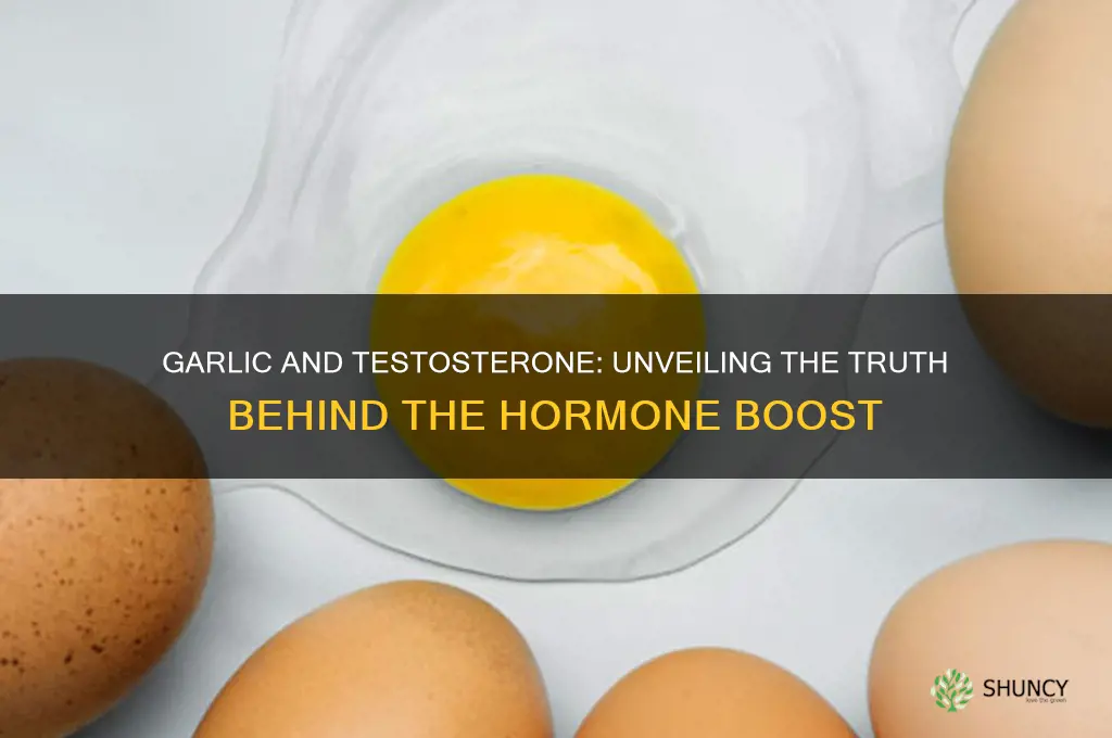 Garlic And Testosterone: Unveiling The Truth Behind The Hormone Boost ...