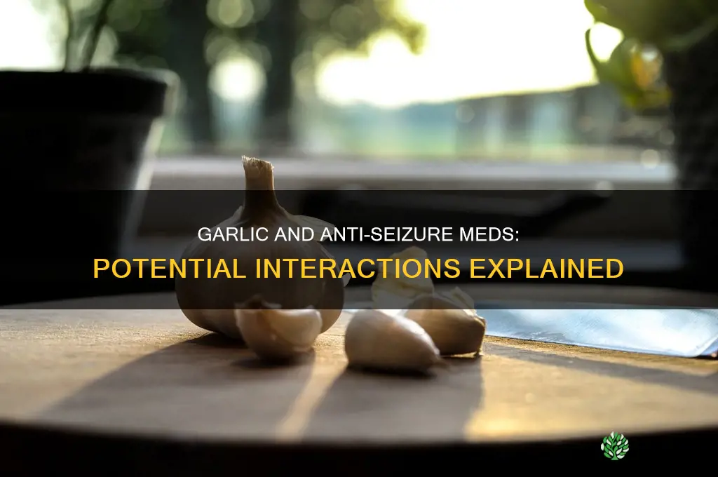 Garlic And Anti-Seizure Meds: Potential Interactions Explained | ShunCy