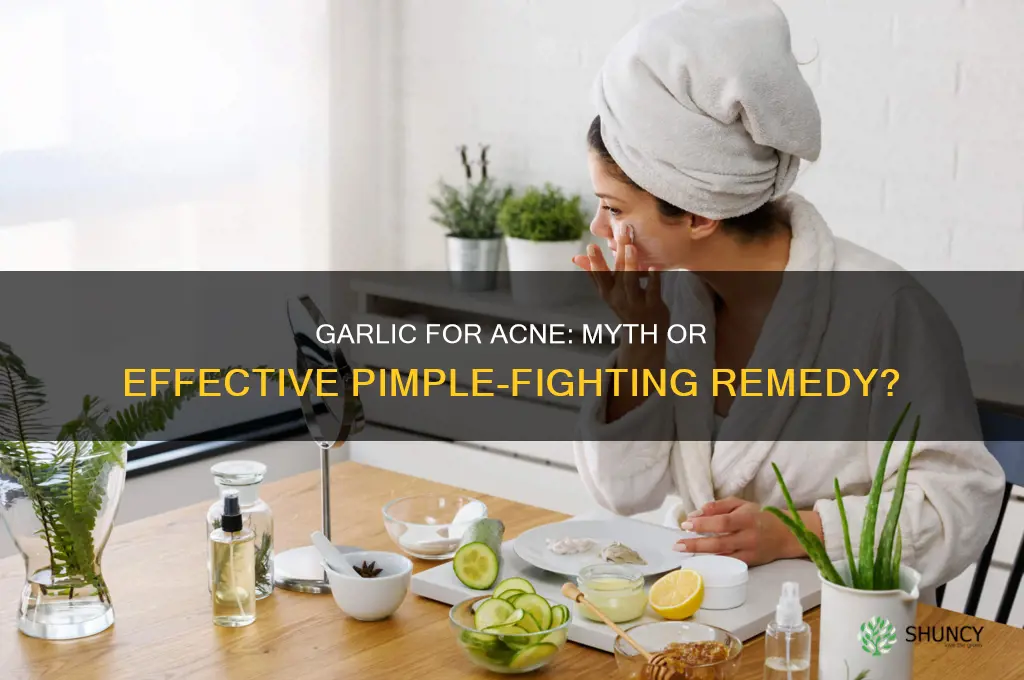 Garlic For Acne: Myth Or Effective Pimple-Fighting Remedy? | ShunCy