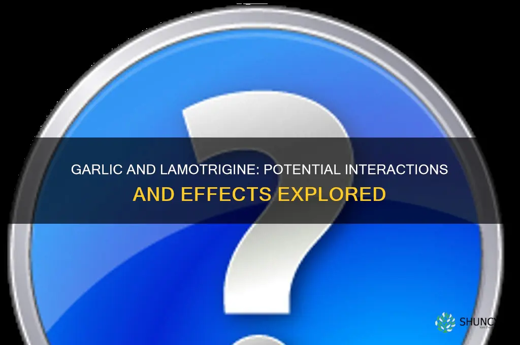 Garlic And Lamotrigine: Potential Interactions And Effects Explored ...