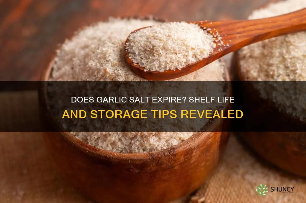 Does Garlic Salt Expire? Shelf Life And Storage Tips Revealed | ShunCy
