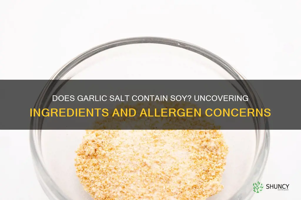 Does Garlic Salt Contain Soy? Uncovering Ingredients And Allergen ...
