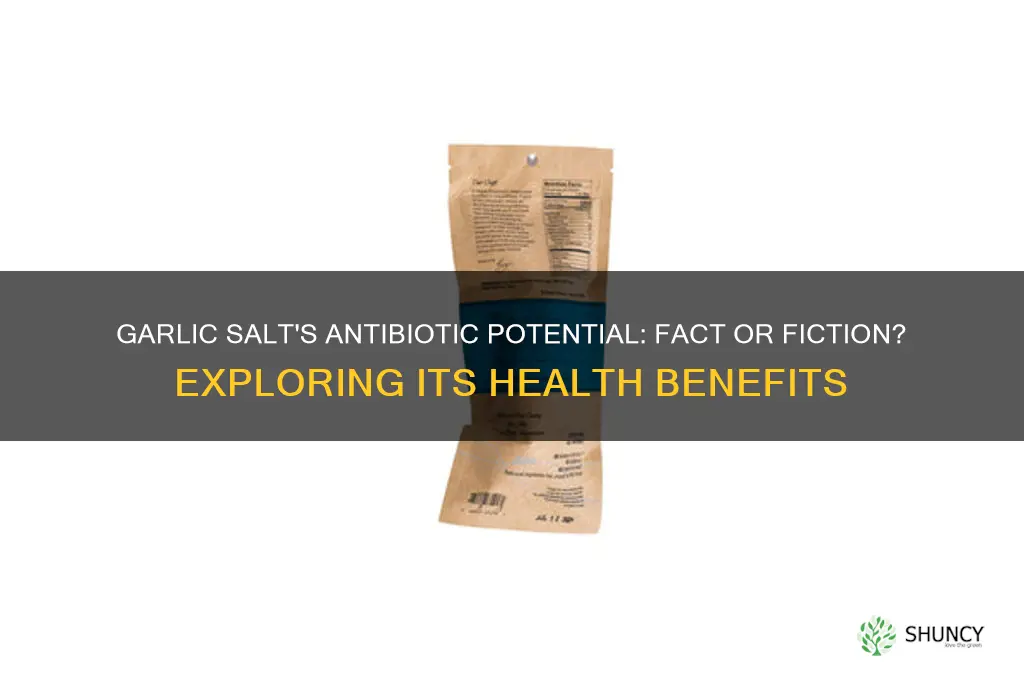 Garlic Salt's Antibiotic Potential: Fact Or Fiction? Exploring Its ...
