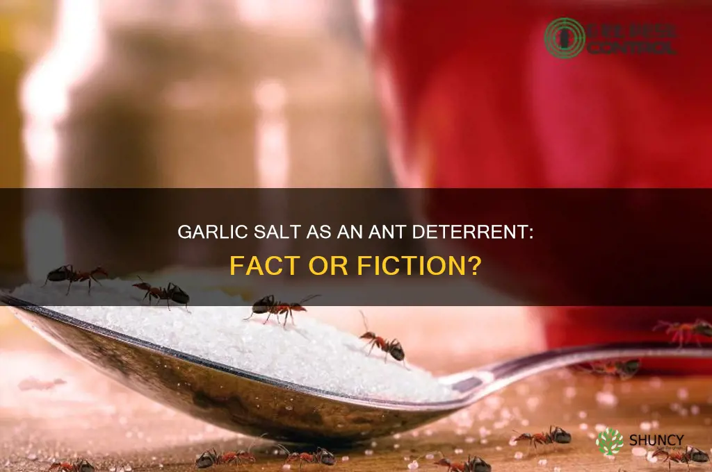 Garlic Salt As An Ant Deterrent: Fact Or Fiction? | ShunCy