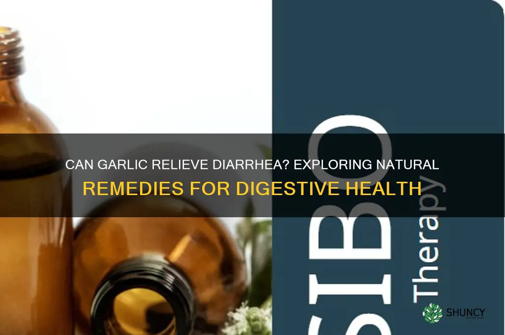 Can Garlic Relieve Diarrhea? Exploring Natural Remedies For Digestive ...