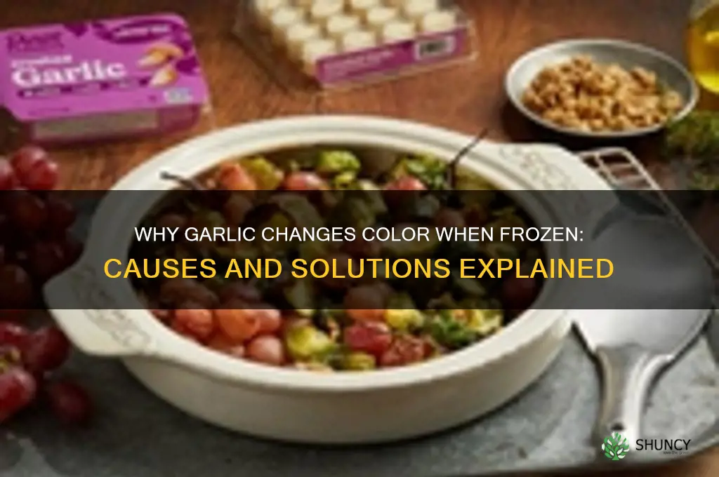 Why Garlic Changes Color When Frozen: Causes And Solutions Explained ...