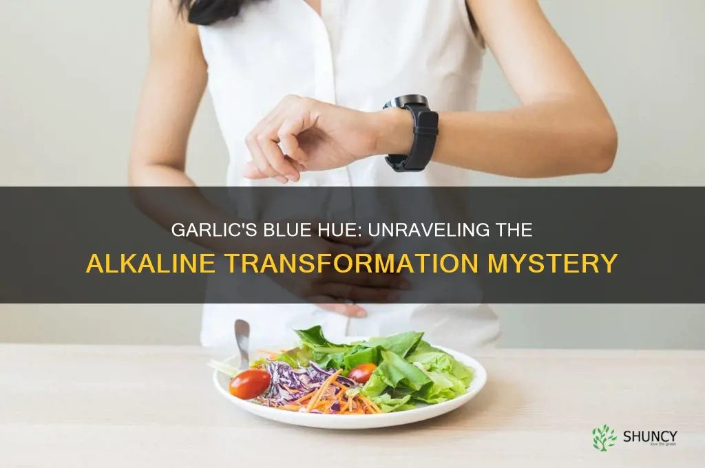 Garlic's Blue Hue: Unraveling The Alkaline Transformation Mystery | ShunCy