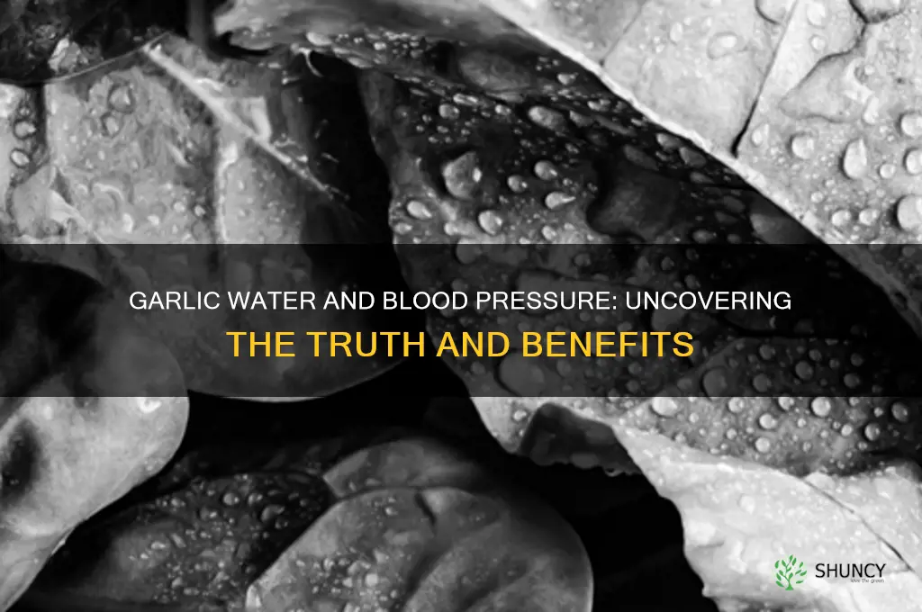 Garlic Water And Blood Pressure: Uncovering The Truth And Benefits | ShunCy
