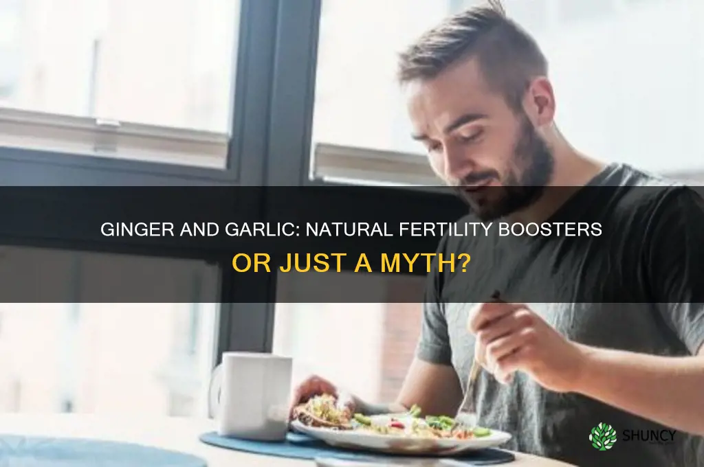 Ginger And Garlic: Natural Fertility Boosters Or Just A Myth? | ShunCy