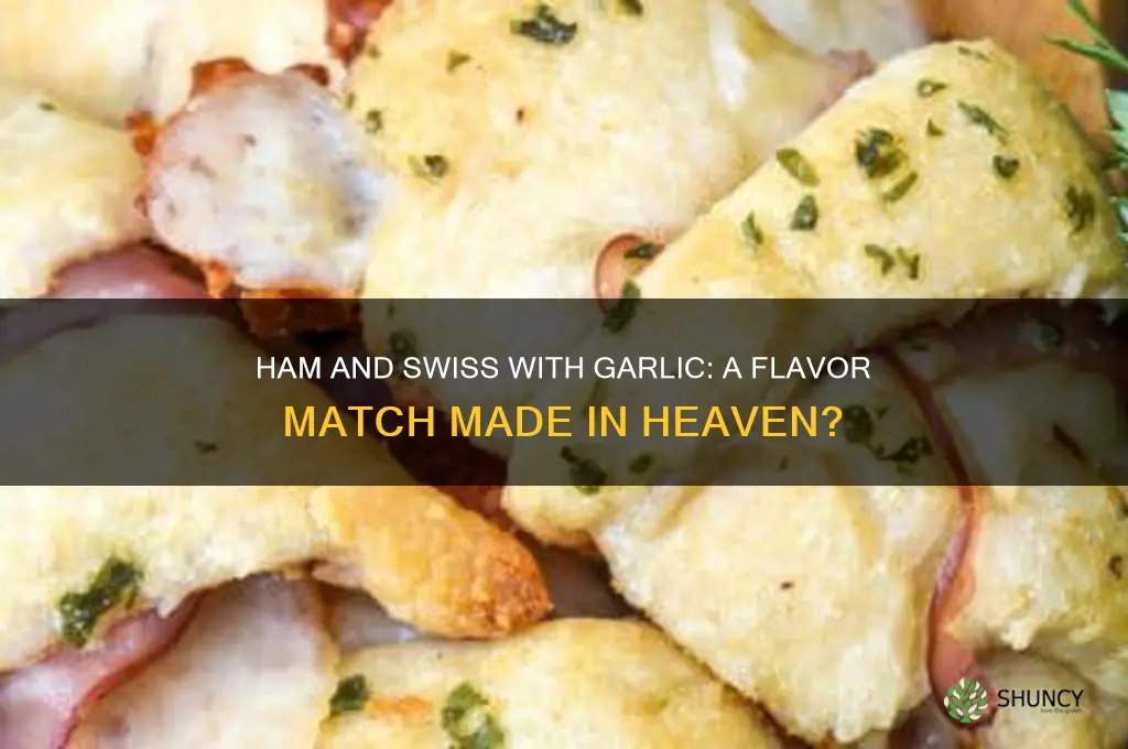 Ham And Swiss With Garlic: A Flavor Match Made In Heaven? | ShunCy