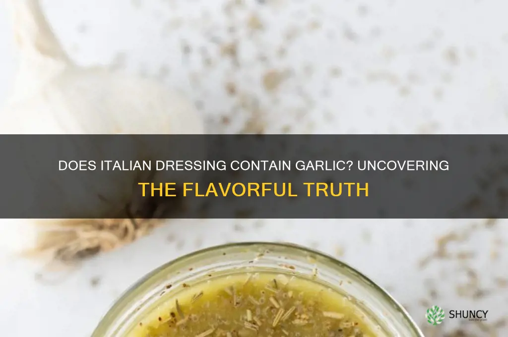 Does Italian Dressing Contain Garlic? Uncovering The Flavorful Truth ...