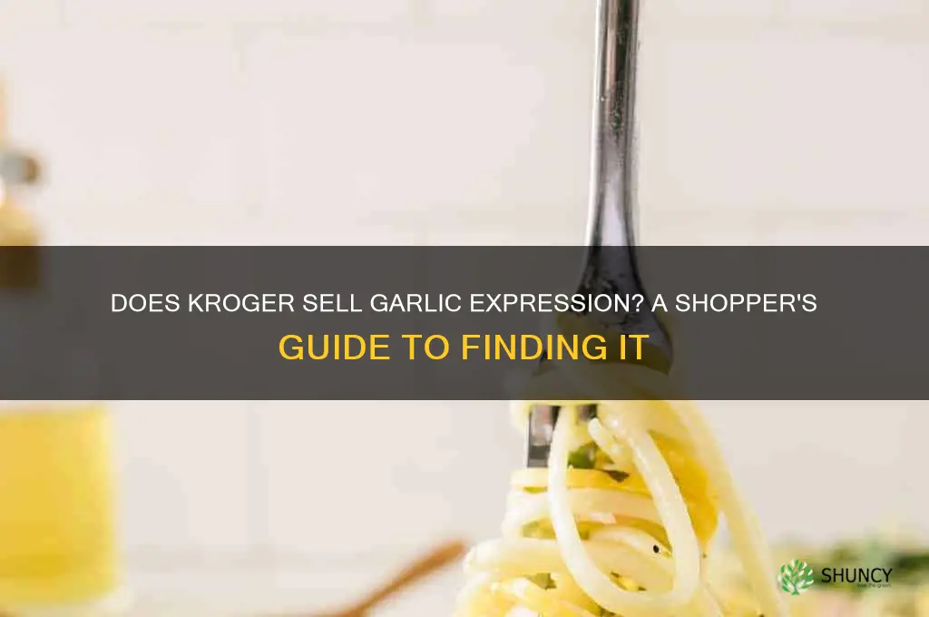Does Kroger Sell Garlic Expression? A Shopper's Guide To Finding It ...