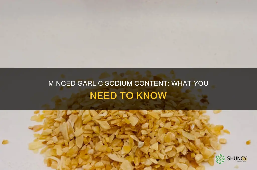 Minced Garlic Sodium Content: What You Need To Know | ShunCy