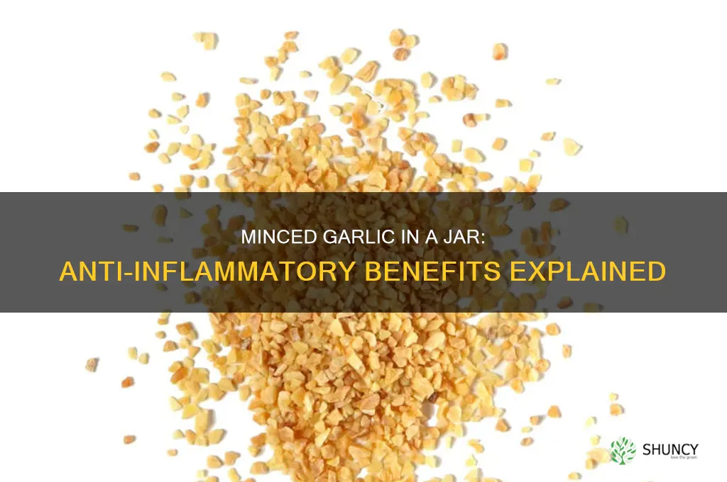 Minced Garlic In A Jar: Anti-Inflammatory Benefits Explained | ShunCy