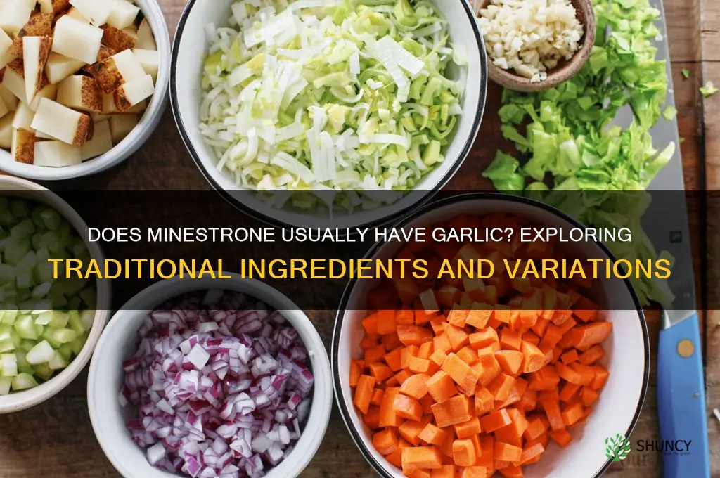 Does Minestrone Usually Have Garlic? Exploring Traditional Ingredients ...