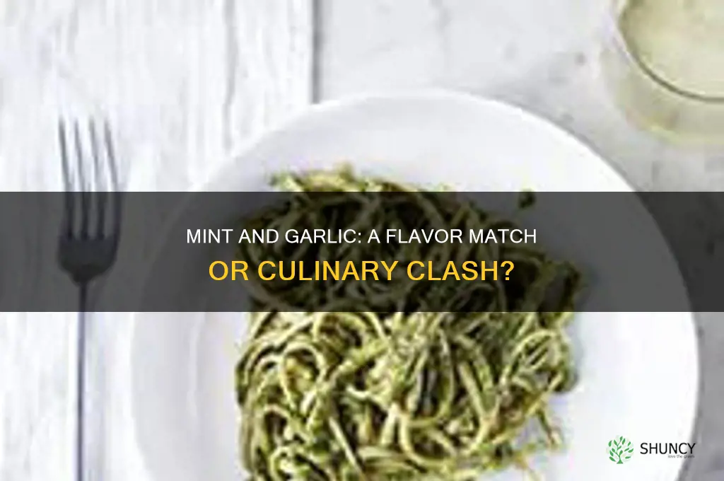 Mint And Garlic: A Flavor Match Or Culinary Clash? | ShunCy