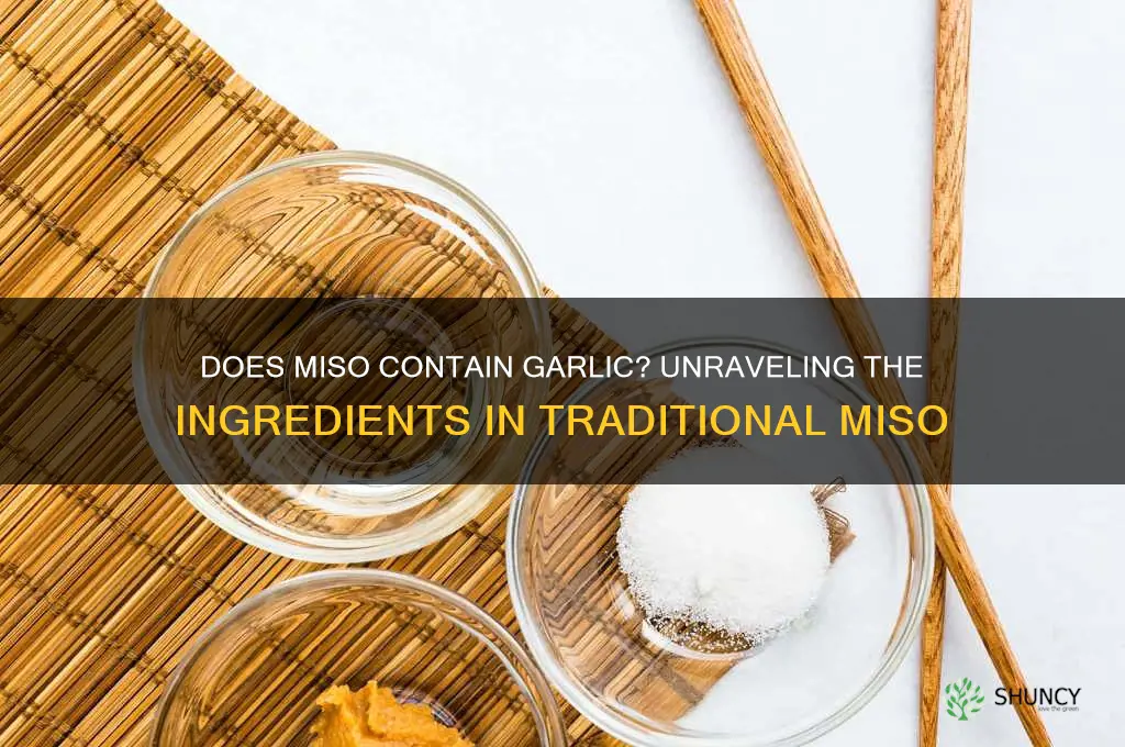 Does Miso Contain Garlic? Unraveling The Ingredients In Traditional ...