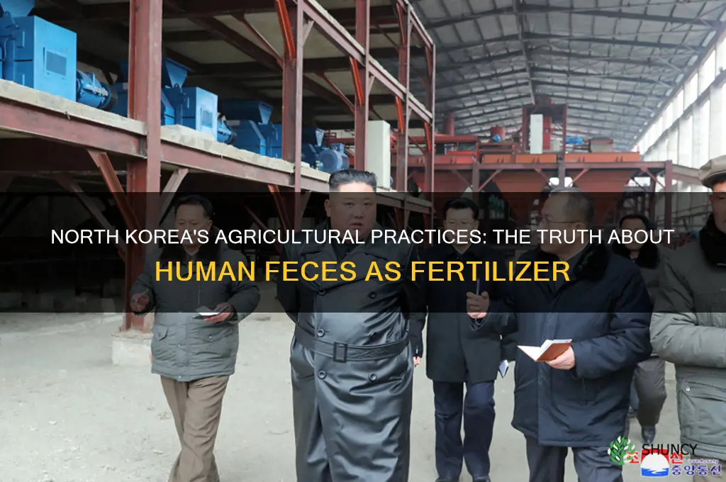 North Korea's Agricultural Practices: The Truth About Human Feces As ...