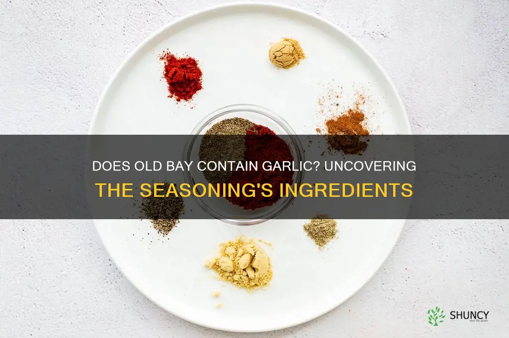 Does Old Bay Contain Garlic? Uncovering The Seasoning's Ingredients ...