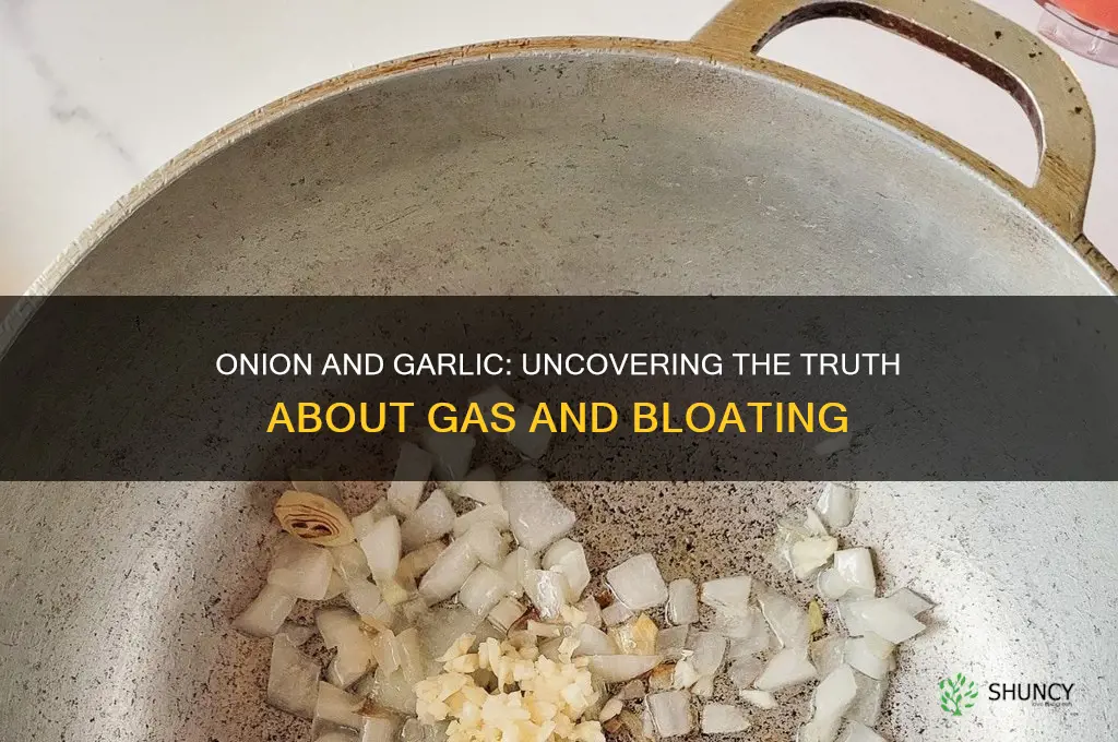 Onion And Garlic: Uncovering The Truth About Gas And Bloating | ShunCy