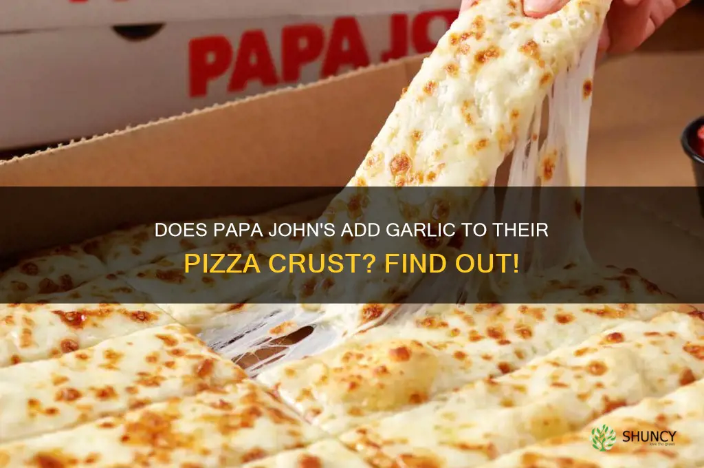 Does Papa John's Add Garlic To Their Pizza Crust? Find Out! | ShunCy