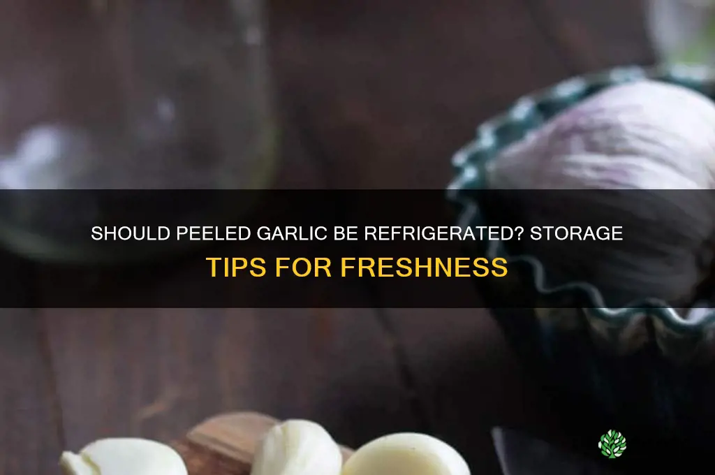 Should Peeled Garlic Be Refrigerated? Storage Tips For Freshness | ShunCy