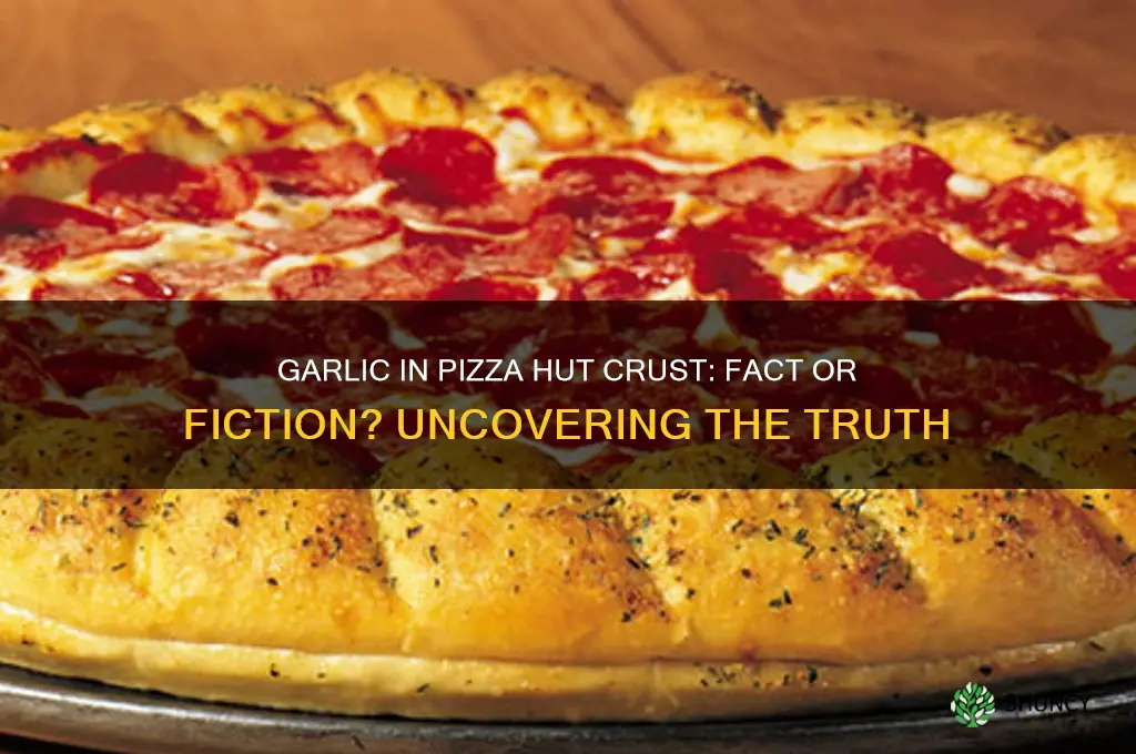 Garlic In Pizza Hut Crust: Fact Or Fiction? Uncovering The Truth | ShunCy