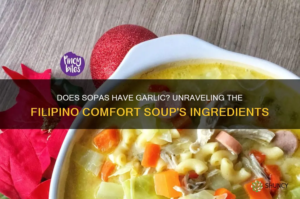 Does Sopas Have Garlic? Unraveling The Filipino Comfort Soup's ...