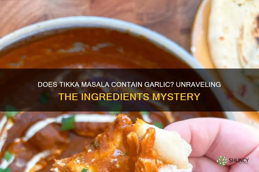 Does Tikka Masala Contain Garlic? Unraveling The Ingredients Mystery ...