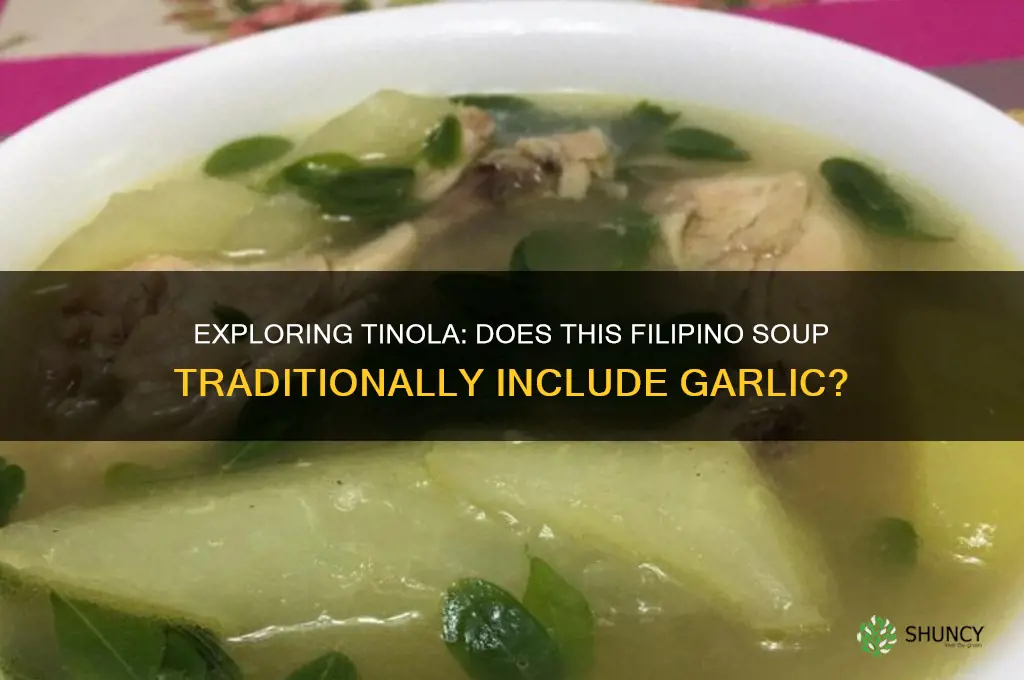 Exploring Tinola: Does This Filipino Soup Traditionally Include Garlic ...