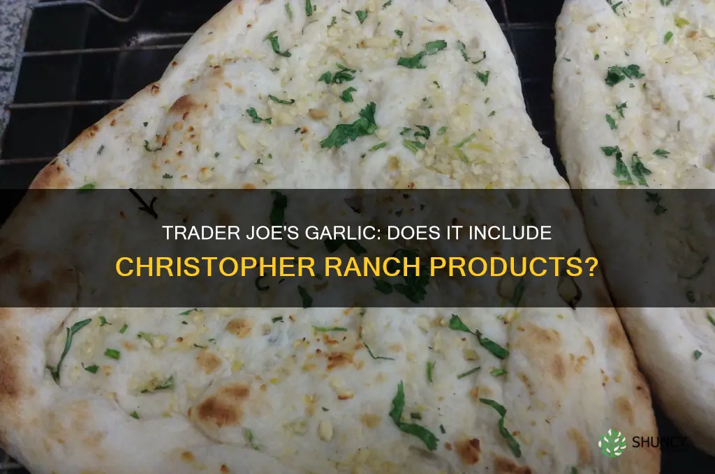 Trader Joe's Garlic: Does It Include Christopher Ranch Products? | ShunCy