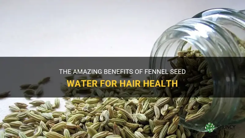 The Amazing Benefits Of Fennel Seed Water For Hair Health ShunCy